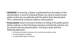 Selfing and crossing techniques in crop plants and Breeders Kit | PPTX
