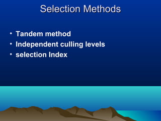 poultry Breeding | PPT