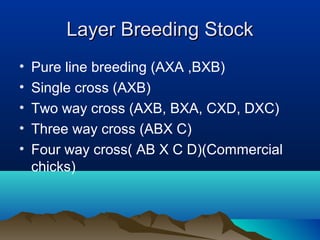poultry Breeding | PPT