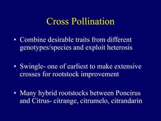 Breeding of Citrus Fruits | PPT