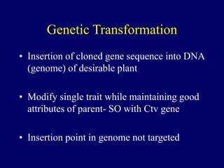 Breeding of Citrus Fruits | PPT