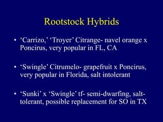 Breeding of Citrus Fruits | PPT