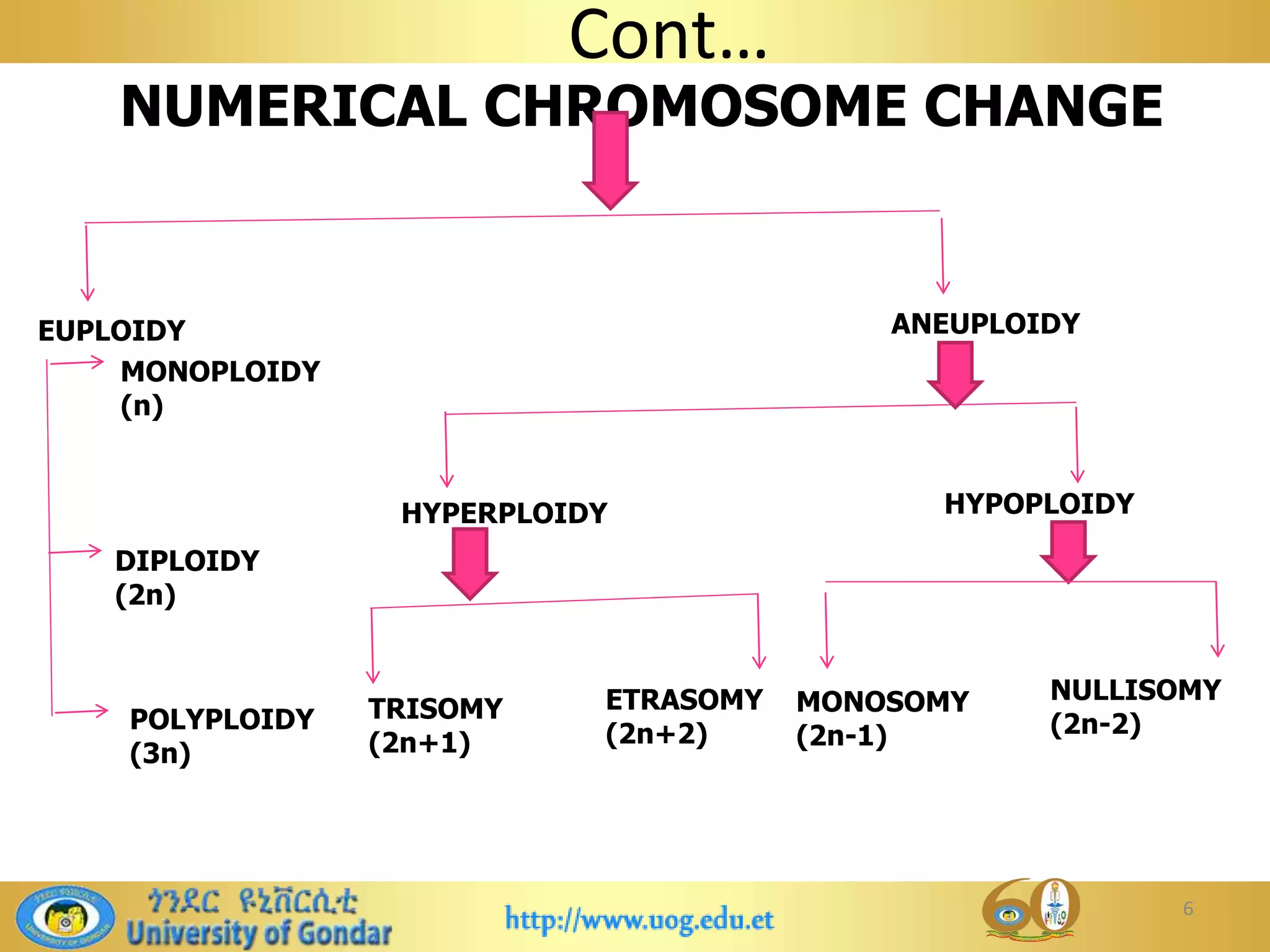 Causes of Heritability by Structural and Numerical chromosome changes