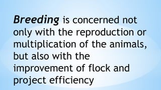 breeding-system of swine pig TLE 9 animal | PPTX