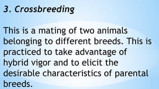 breeding-system of swine pig TLE 9 animal | PPT