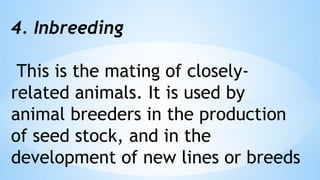breeding-system of swine pig TLE 9 animal | PPTX