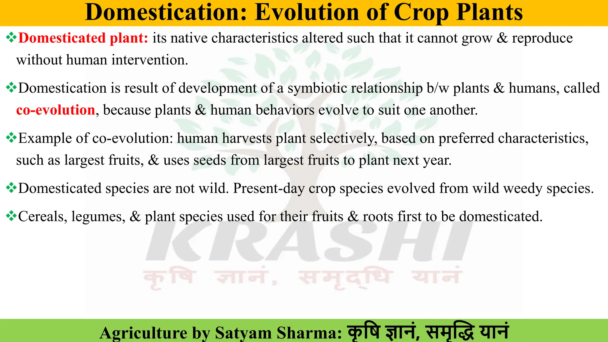 Plant Domestication | Evolution of Modern Agriculture | PDF