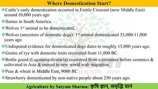 Plant Domestication | Evolution of Modern Agriculture | PDF