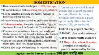 Plant Domestication | Evolution of Modern Agriculture | PDF