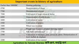 Plant Domestication | Evolution of Modern Agriculture | PDF