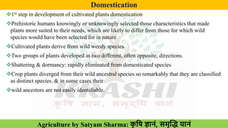 Plant Domestication | Complete Concept Explained BREEDING PLANT ...