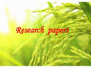 Breeding achievement of k in rice | PPTX