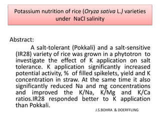 Breeding achievement of k in rice | PPTX