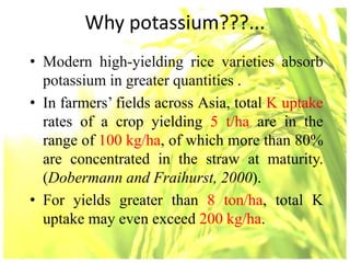 Breeding achievement of k in rice | PPTX