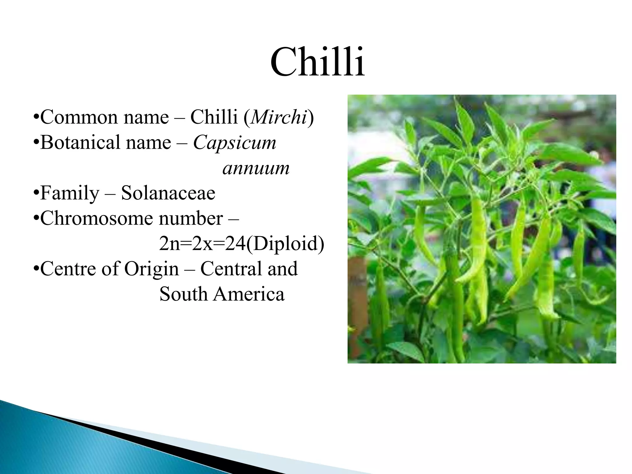 Breeding achievements on potato and chilli.pptx