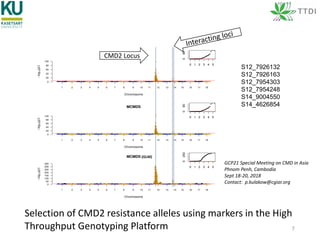 Breeding activities in Thailand | PDF