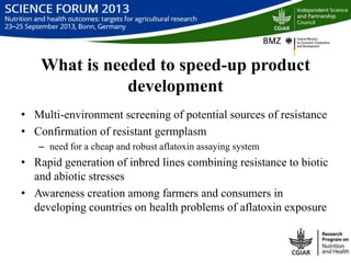 Managing aflatoxin contamination of maize through breeding | PPTX