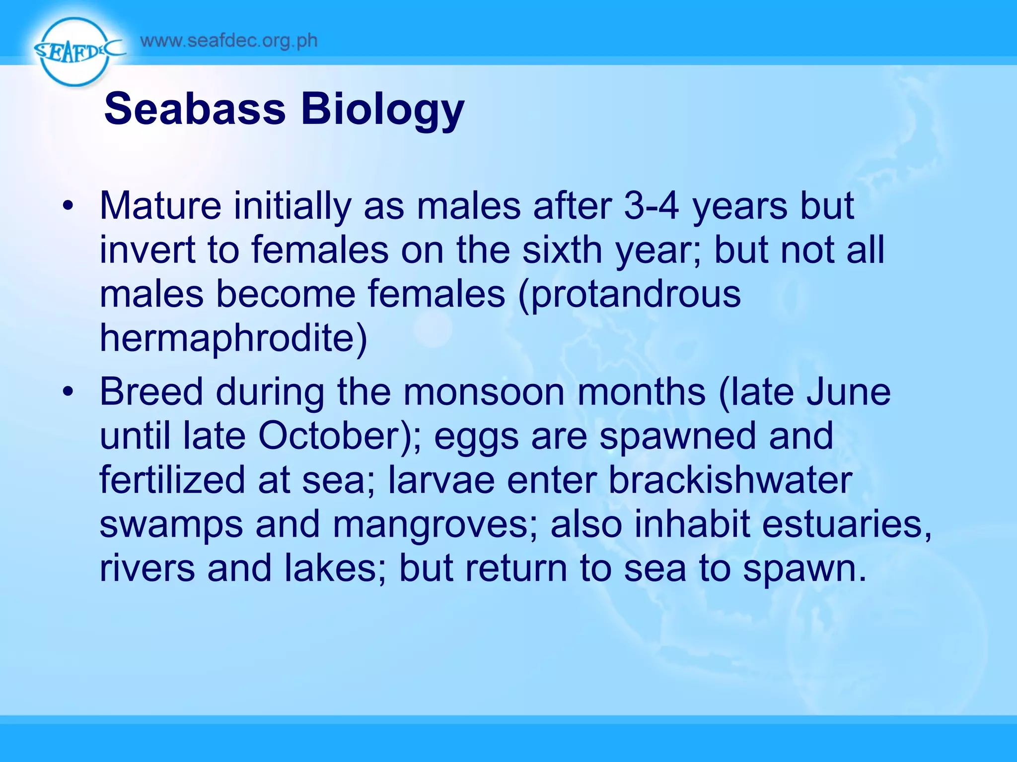 Breeding And Culture Of Seabass And Siganids | PPT