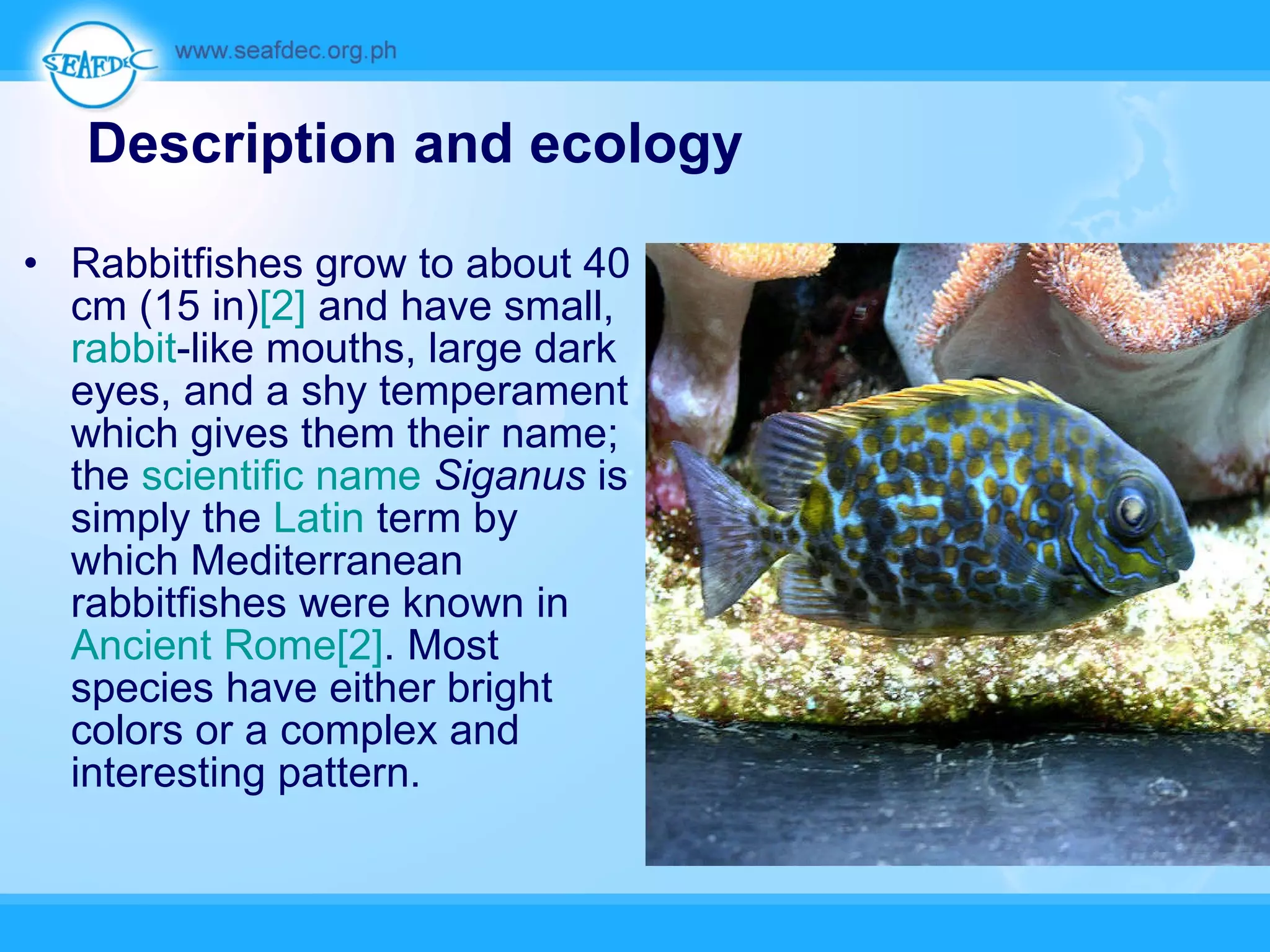 Breeding And Culture Of Seabass And Siganids | PPT