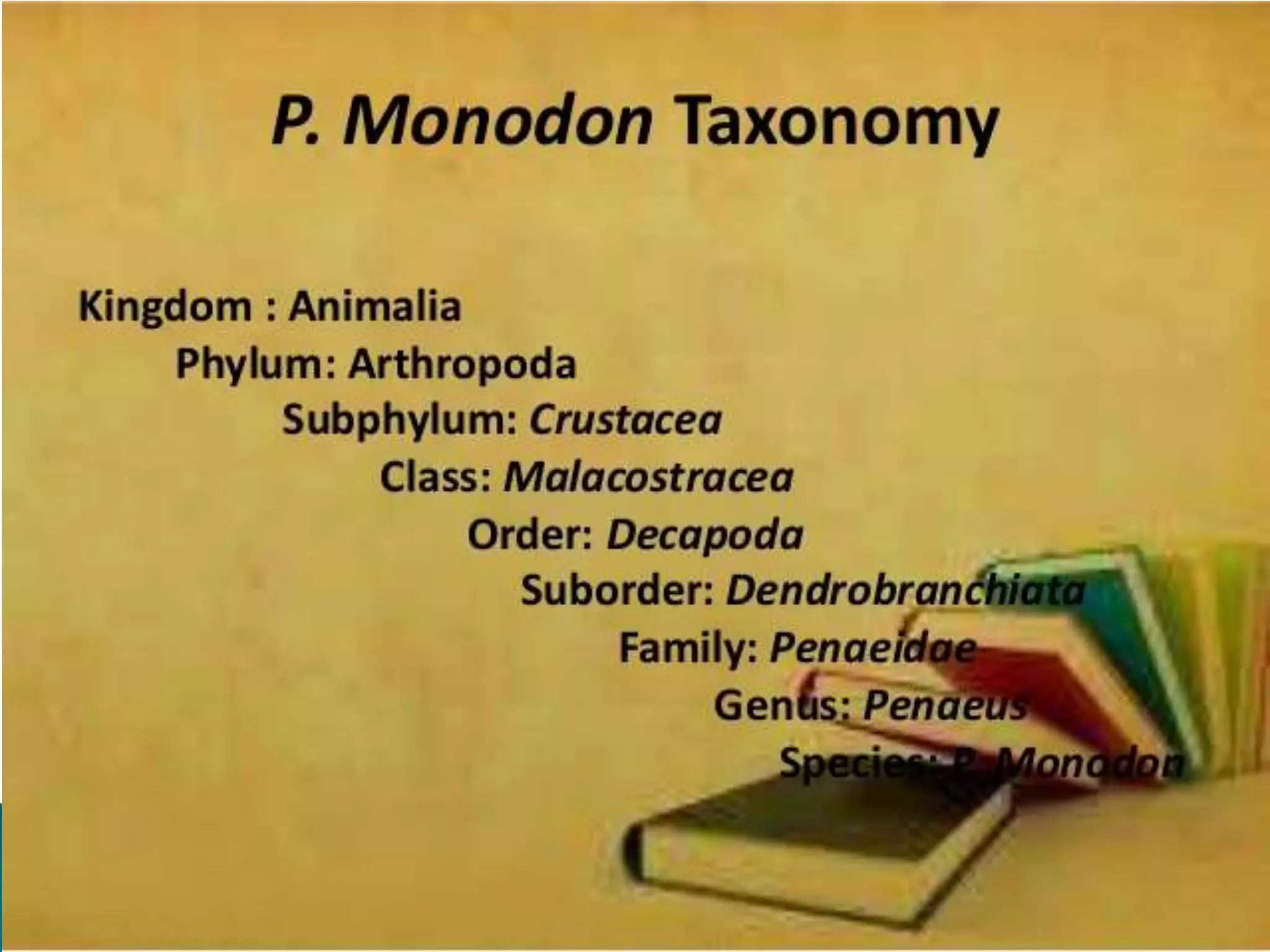 Breeding and hatchery of Penaeus monodon | PPTX