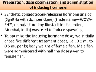 Breeding and seed production techniques for Mola carplet fish.pptx