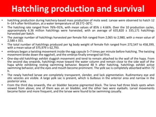 Breeding and seed production techniques for Mola carplet fish.pptx