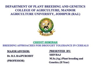 Breeding approaches for drought tolerance in cereals final | PPT