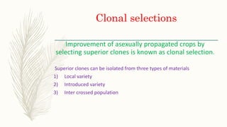 Breeding assignment on clonal selection | PPTX | Infertility ...