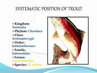 Breeding, cold water fishery | PPTX