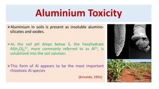 Breeding for aluminium tolerance | PPTX