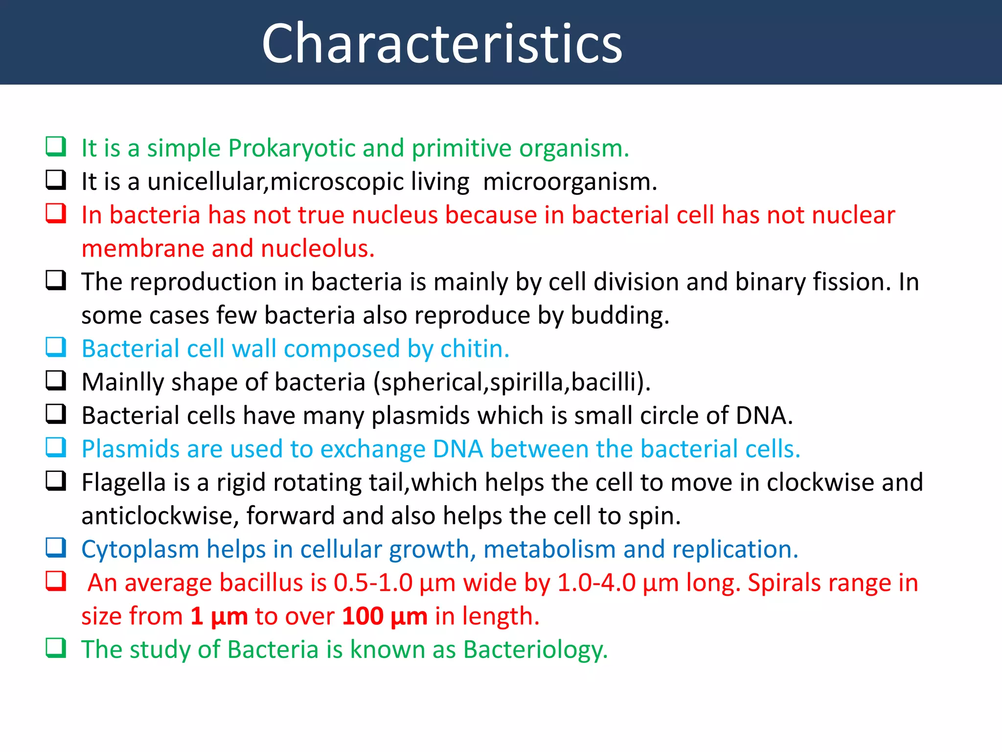 Introduction of Bacteria | PPTX