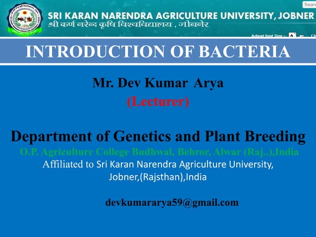 Introduction of Bacteria | PPTX
