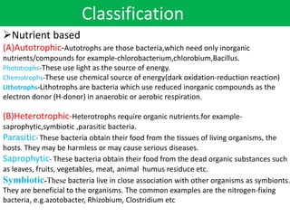Introduction of Bacteria | PPTX