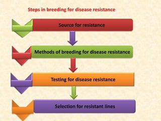 Breeding for disease resistance by sajad | PPTX