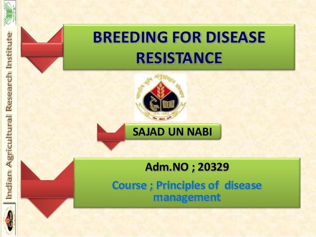 Breeding for disease resistance by sajad