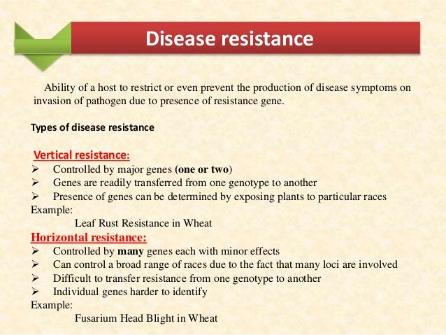 Breeding for disease resistance by sajad