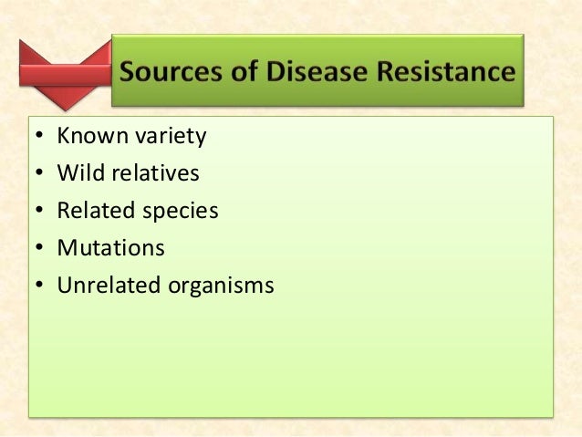 Breeding for disease resistance by sajad