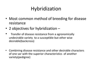 Breeding for disease resistance.pptx