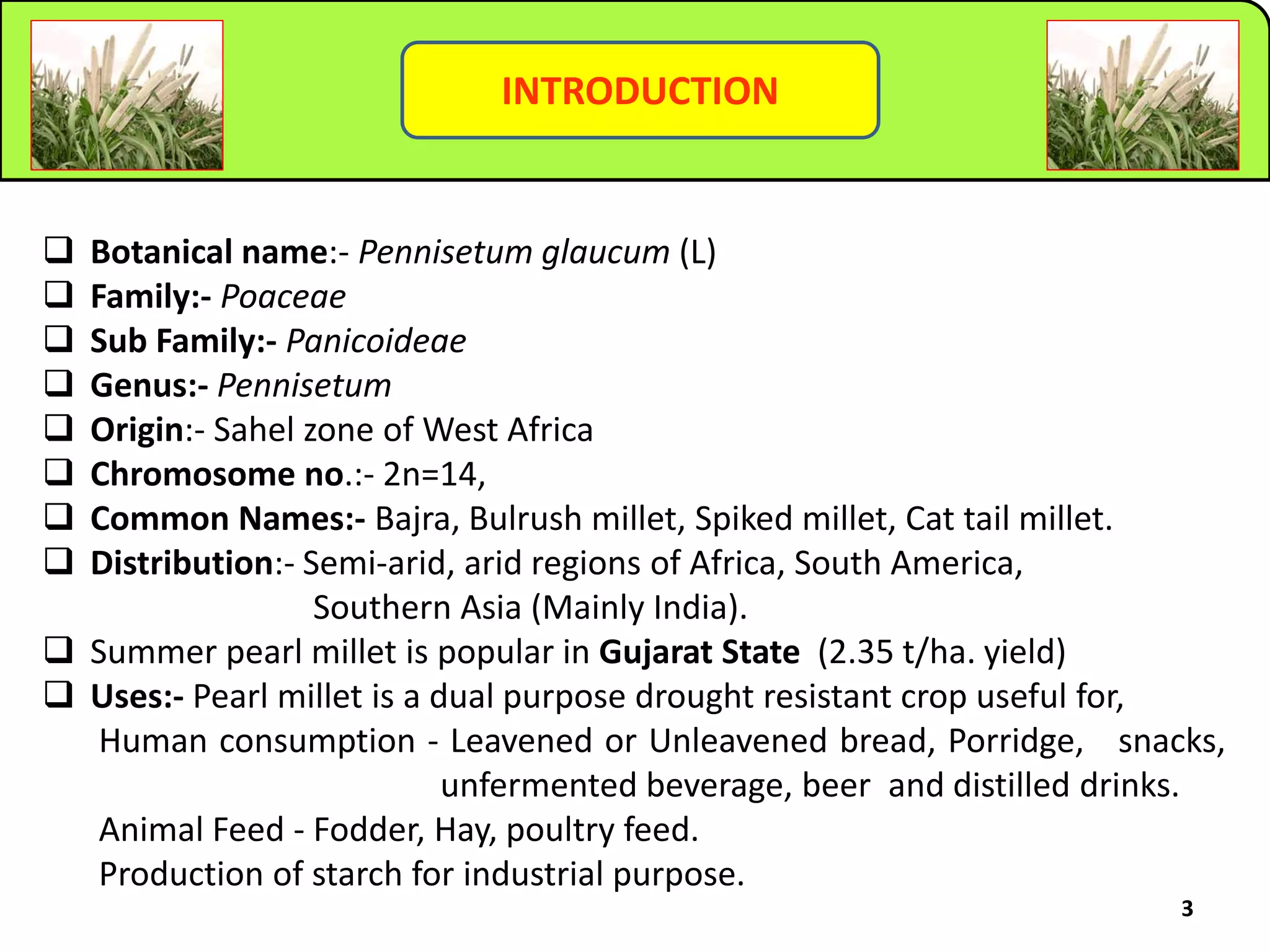 Breeding for disease resistance in | PPTX