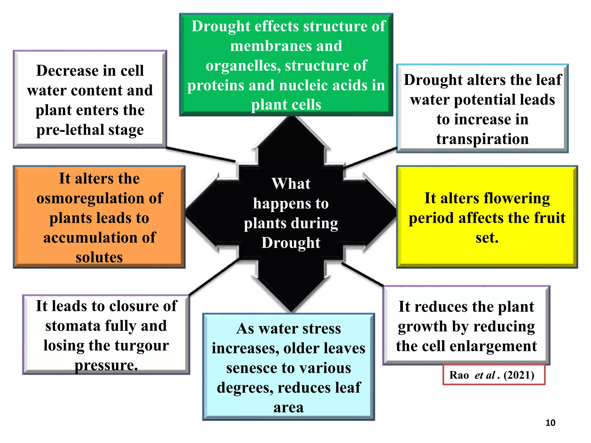 BREEDING FOR DROUGHT TOLERANCE IN TOMATO.pptx