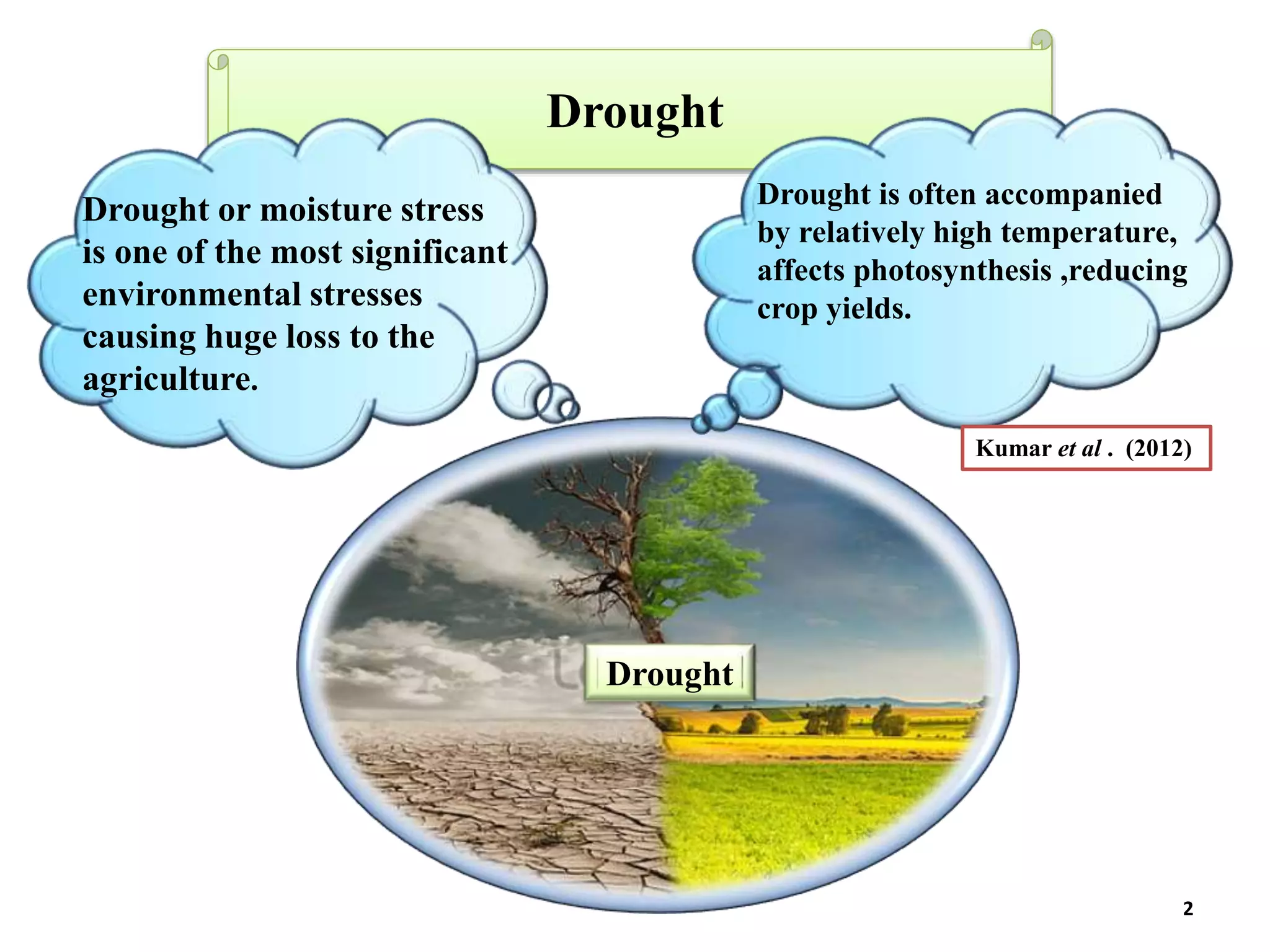 BREEDING FOR DROUGHT TOLERANCE IN TOMATO.pptx