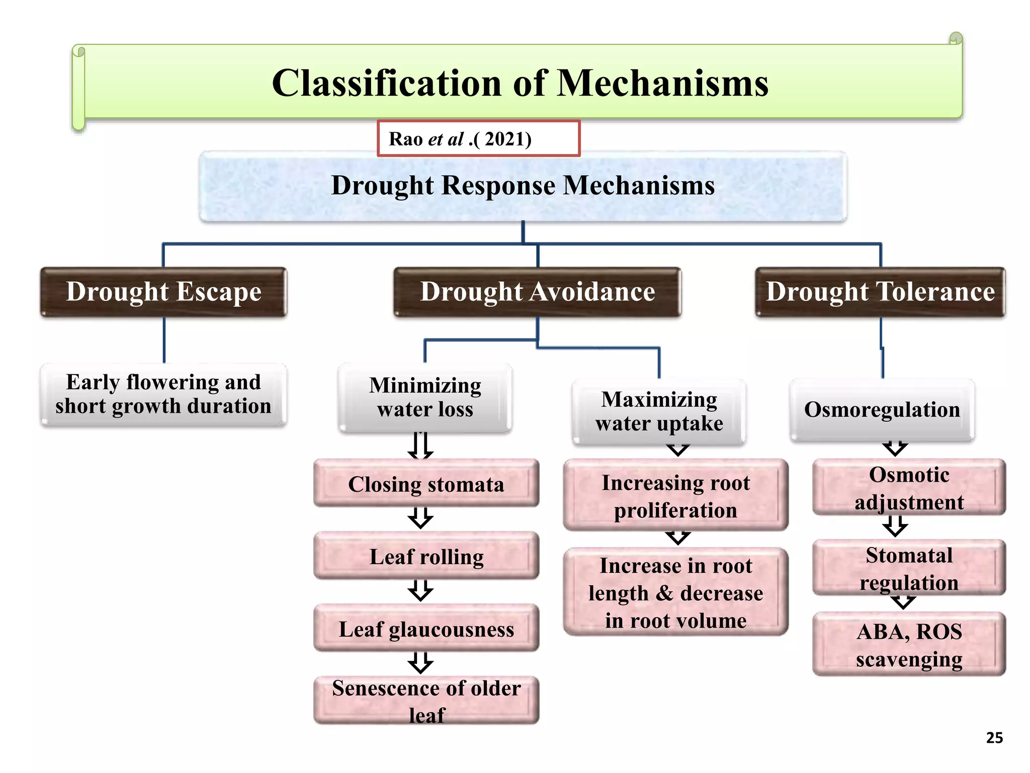 BREEDING FOR DROUGHT TOLERANCE IN TOMATO.pptx