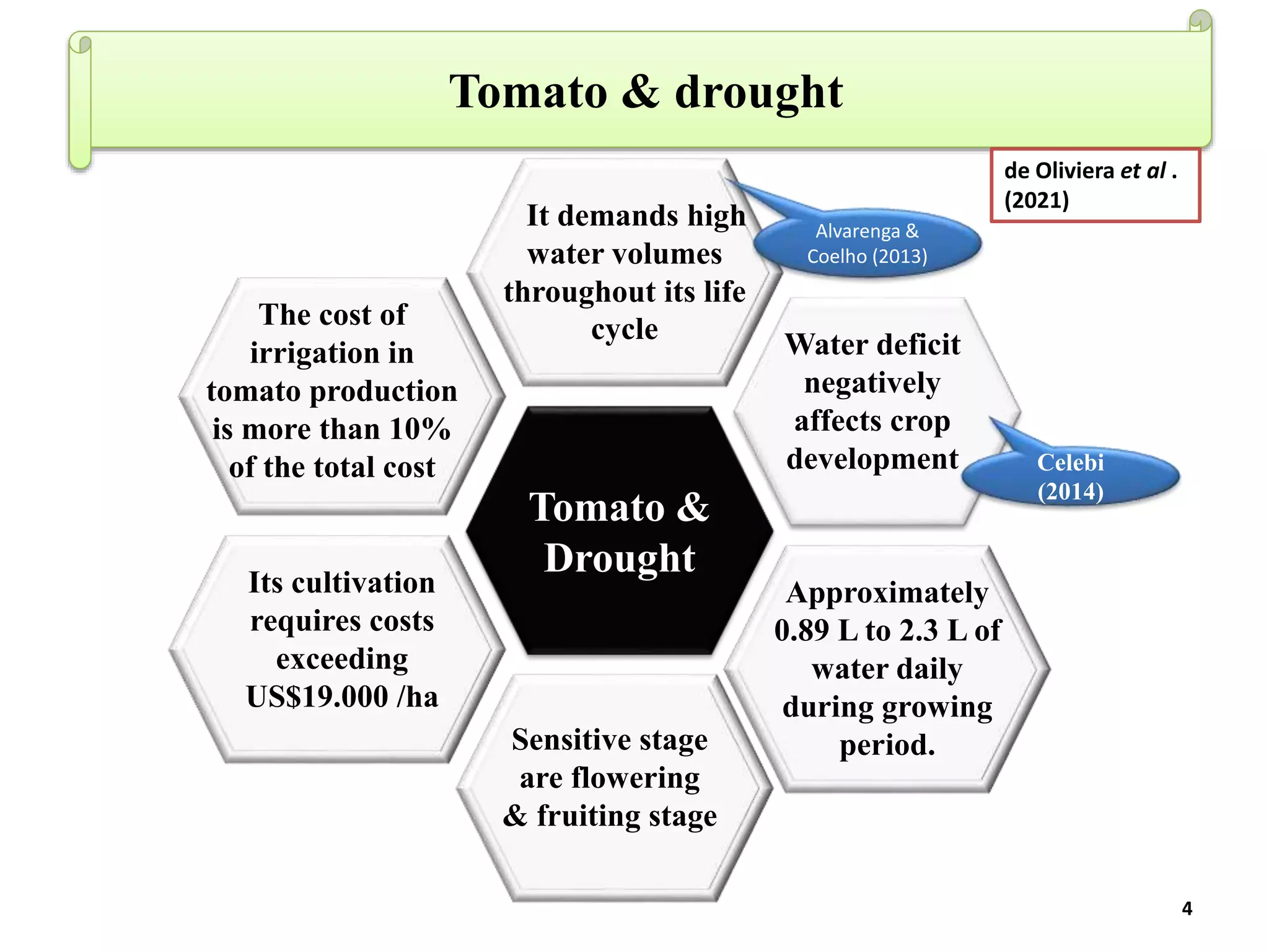 BREEDING FOR DROUGHT TOLERANCE IN TOMATO.pptx