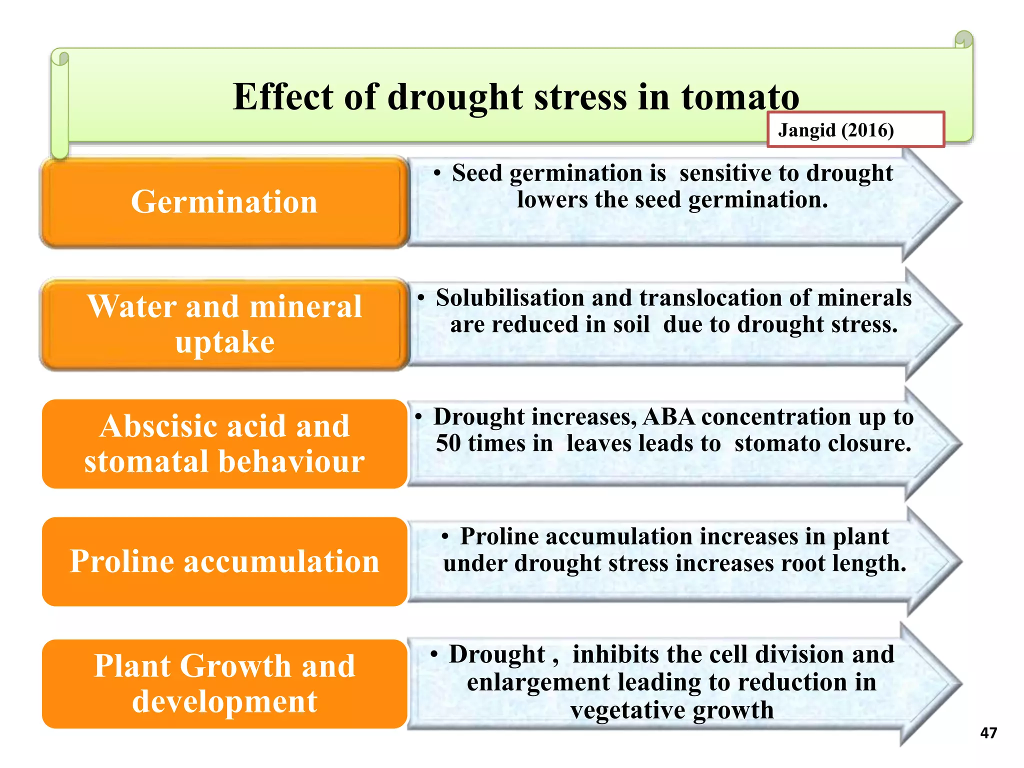 BREEDING FOR DROUGHT TOLERANCE IN TOMATO.pptx