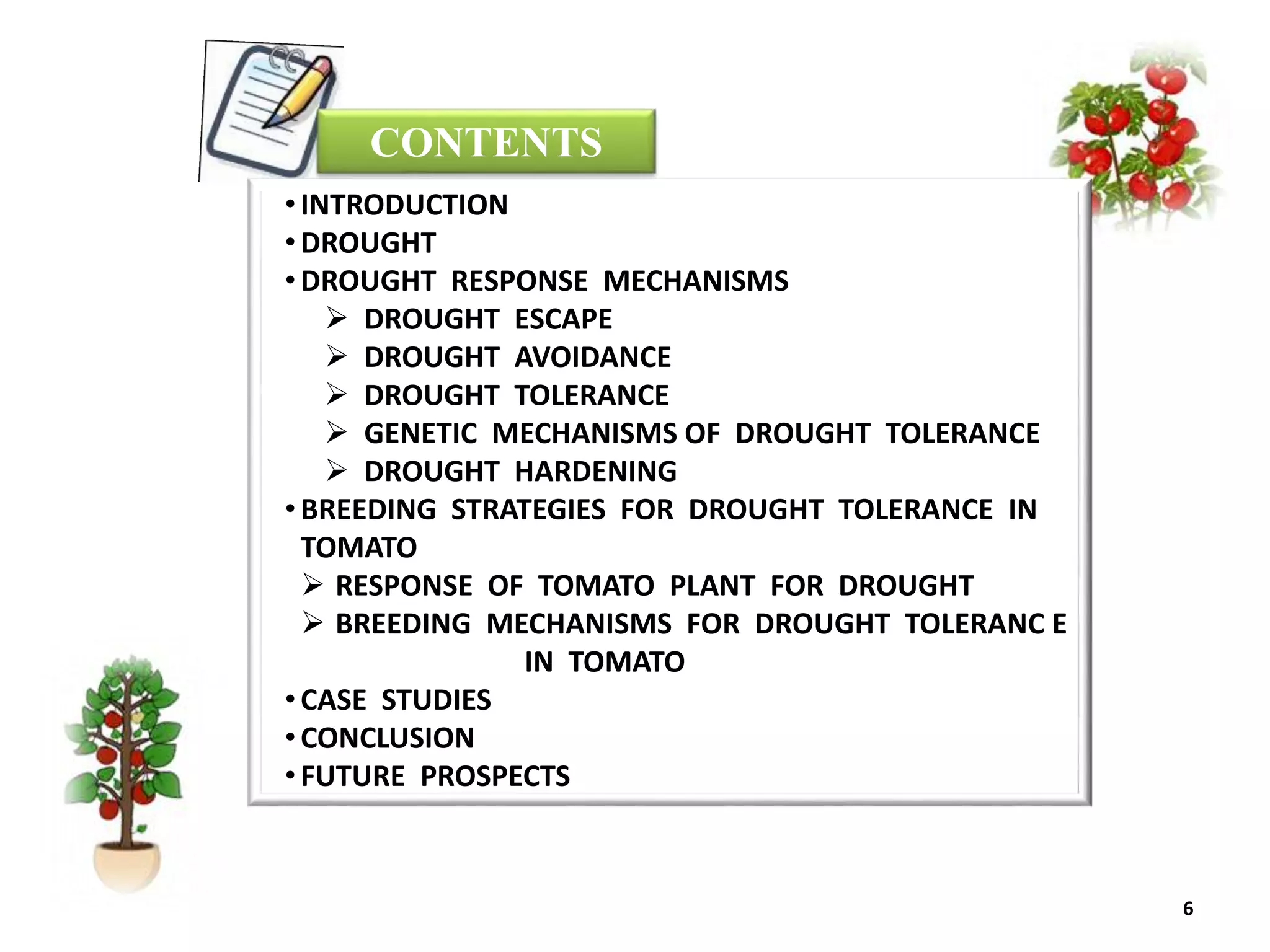 BREEDING FOR DROUGHT TOLERANCE IN TOMATO.pptx