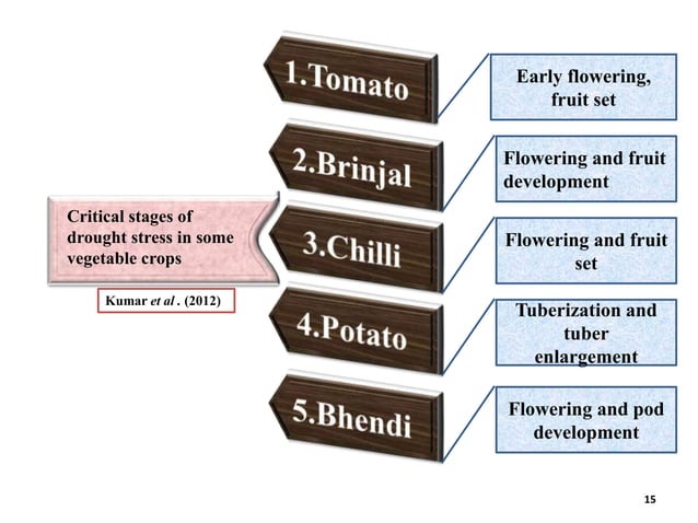 BREEDING FOR DROUGHT TOLERANCE IN TOMATO.pptx