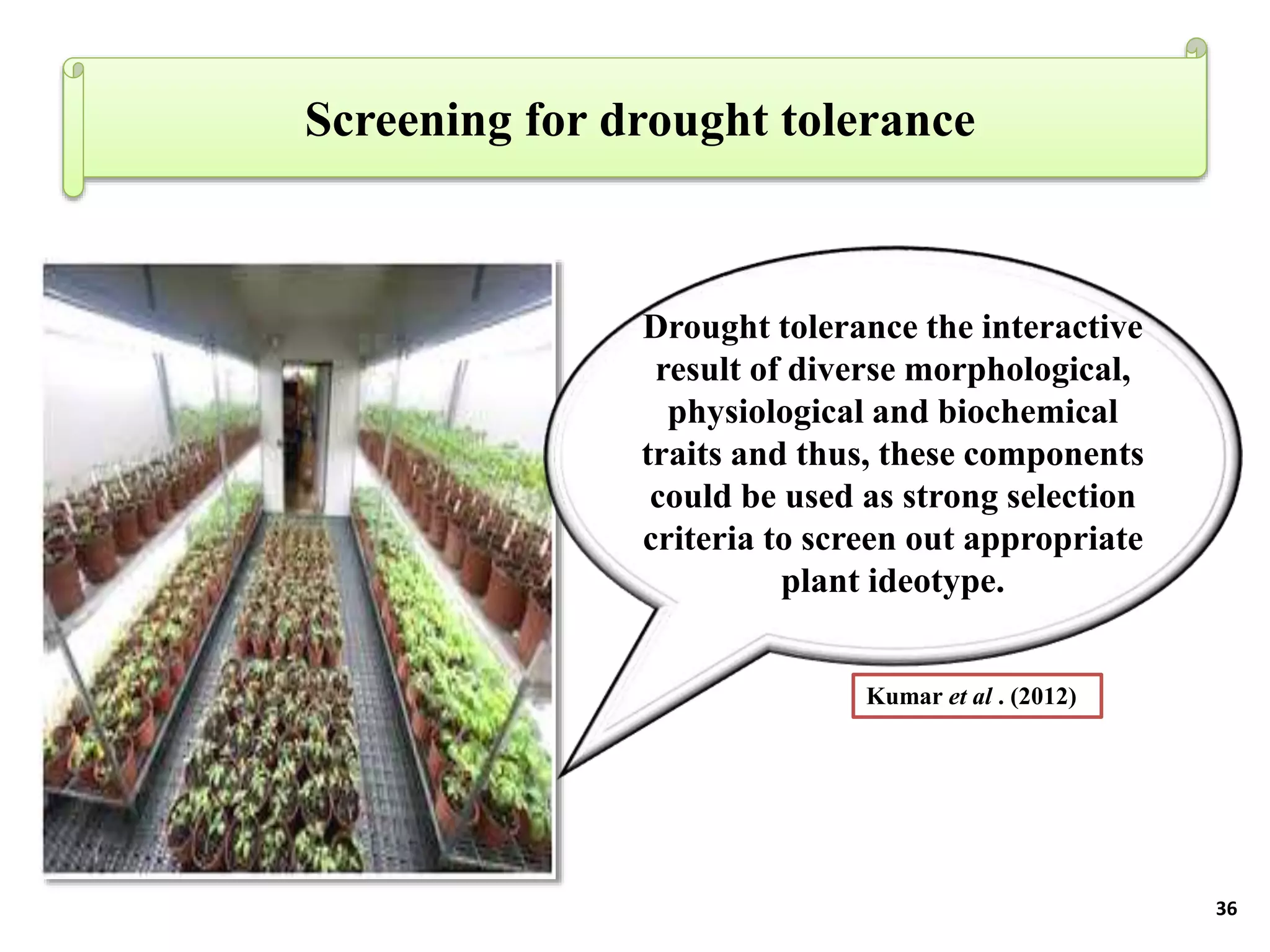 BREEDING FOR DROUGHT TOLERANCE IN TOMATO.pptx