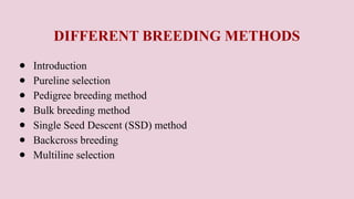 Breeding for Improvement of Self Pollinated Plants.pptx