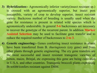 Breeding for pest stress in vegetables | PPTX