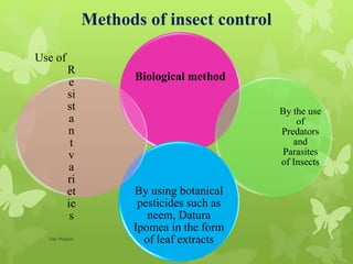 Breeding for pest stress in vegetables | PPTX | Gardening | Home & Garden